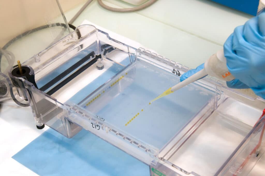 Le BET au laboratoire – CNRS Prévention du risque chimique